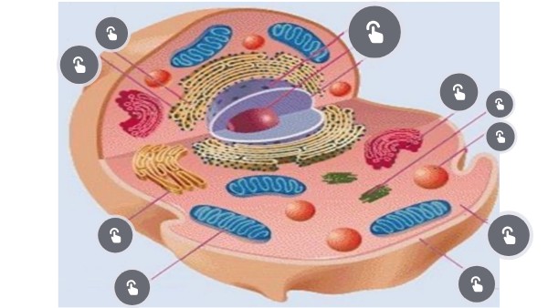 La cellula animata | Genially