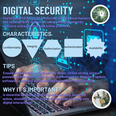 DIGITAL SECURITY-Alison