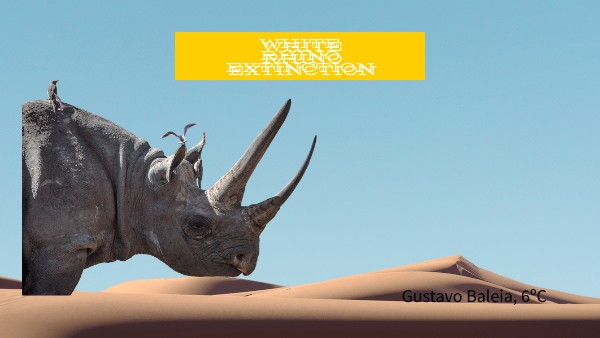 WHITE RHINO Extinction | Genially