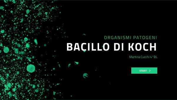 bacillo di koch