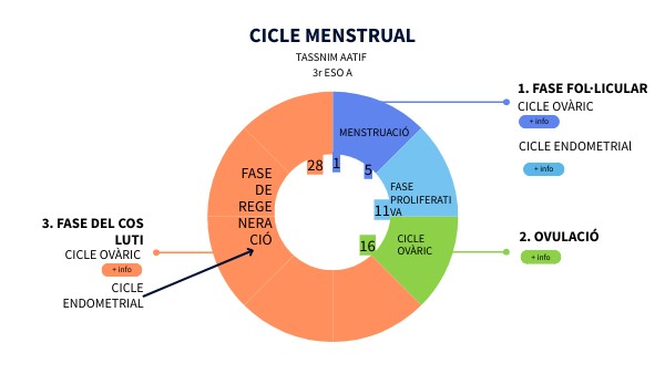 Cicle menstrual