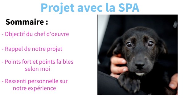 présentation SPA | Genially