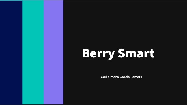 Brief Berry Smart