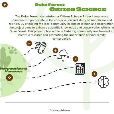 Duke Forest Infographic Displsyed