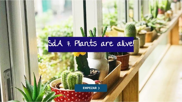 SdA 7. Plants are alive!