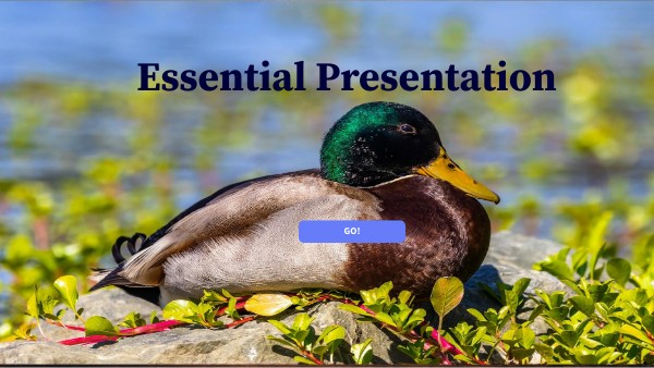 Essential Presentation | Genially