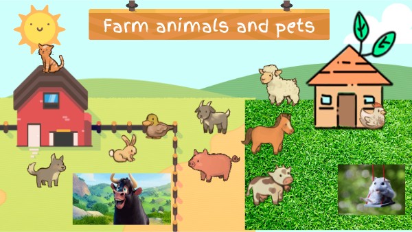FARM VS PET ANIMALS