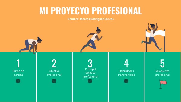 Mi proyecto profesional