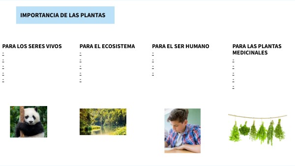 SDA2. IMPORTANCIA DE LAS PLANTAS