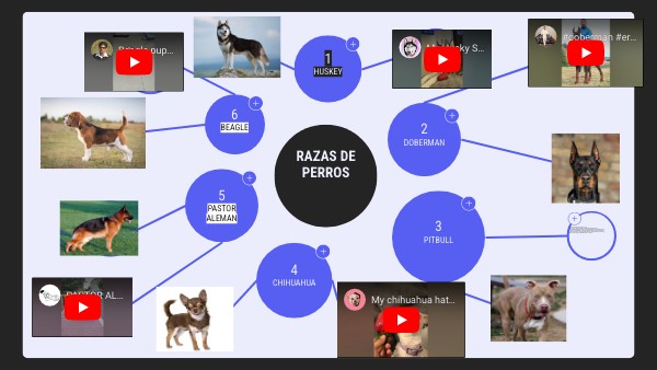 razas de perros