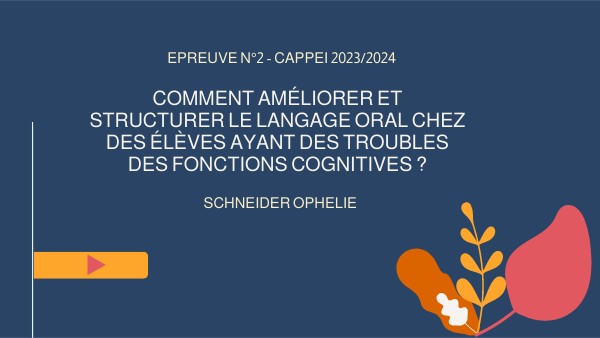 Copie - Copie - EPREUVE 2 CAPPEI - SCHNEIDER OPHELIE