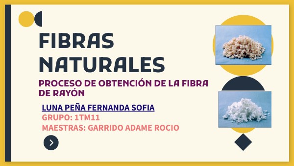 Obtención de la Fibra de Rayón 1TM11 | Genially