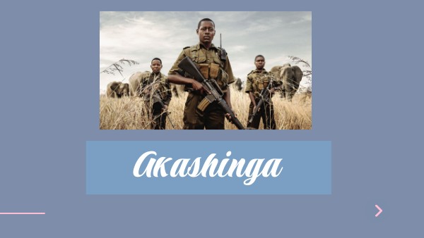 Présentation Akashinga haykel et Olivio