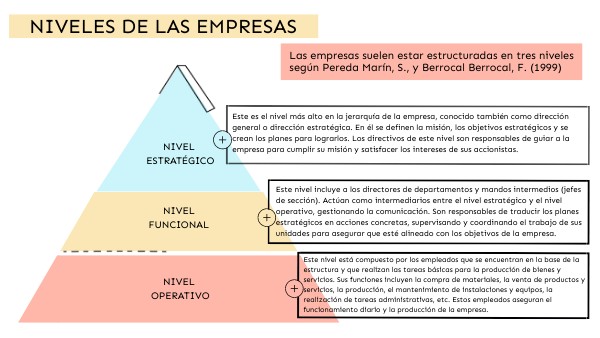 Pirámide de niveles en la empresa | Genially