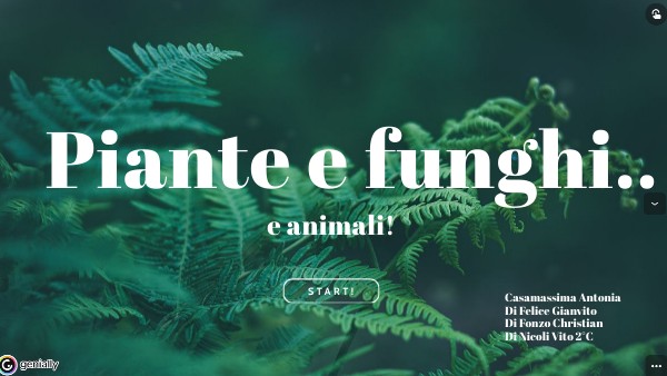 Piante animali e funghi | Genially