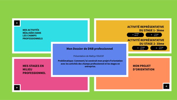 Présentation de dnb de Mathys