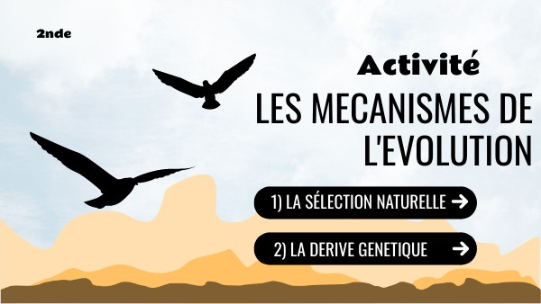 Les mécanismes de l'évolution-SN | Genially
