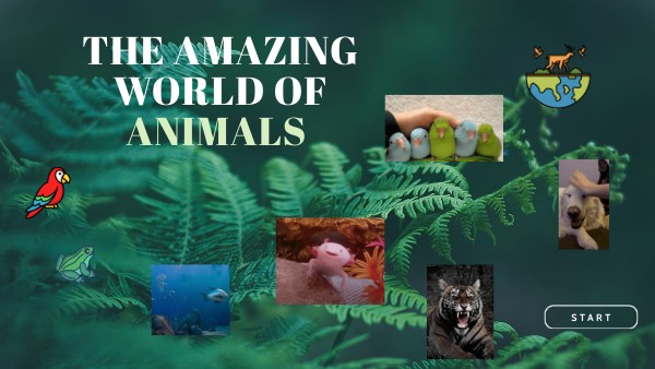 THE AMAZING WORLD OF ANIMALS
