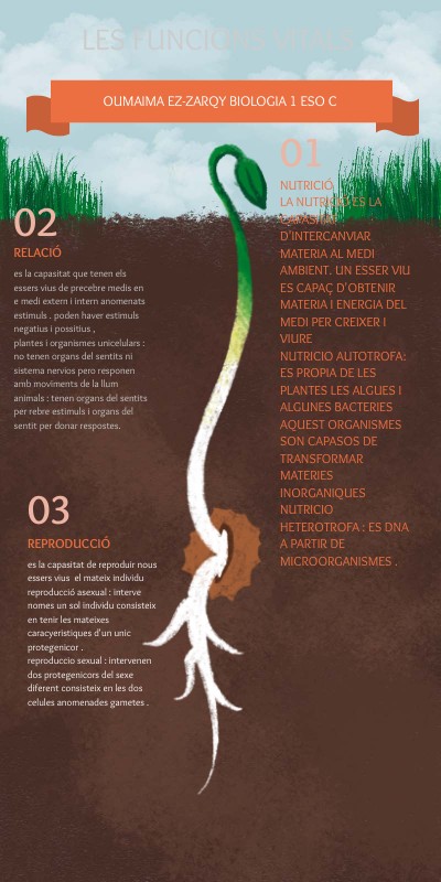 Lista Semilla | Genially