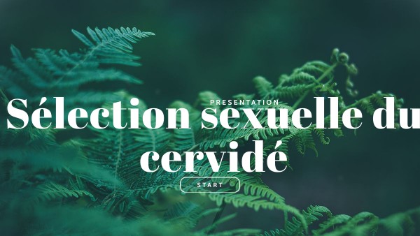 Sélection sexuelle du cerf | Genially