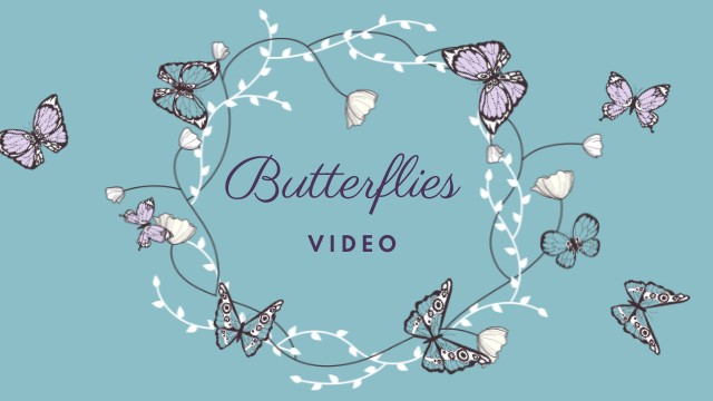 Butterflies Video