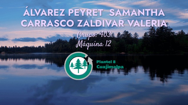 Barbie el secreto de las hadas mq12