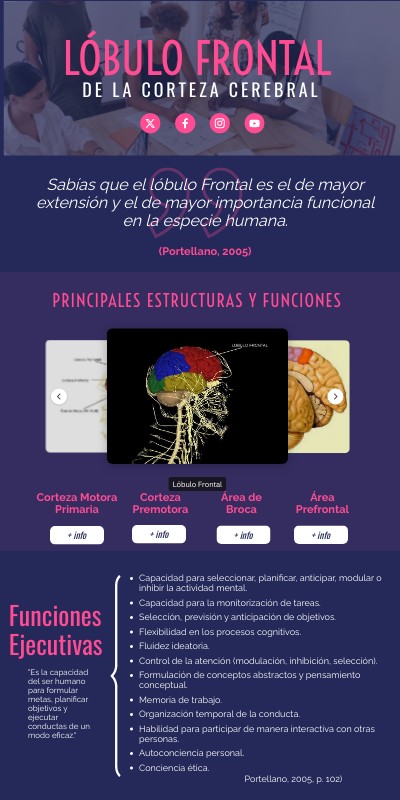 Infografía de los Lóbulos Frontal, Parietal e Ínsula | Genially