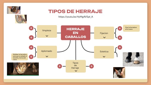Mapa Mental Esquema Central | Genially
