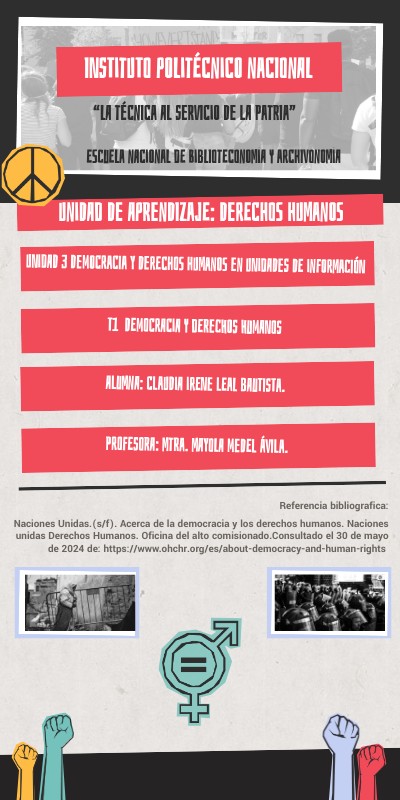 Human Rights Infographic