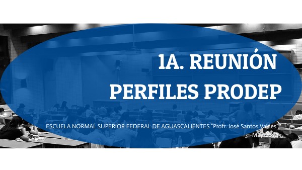 1A. REUNIÓN PERFILES PRODEP ENSFA