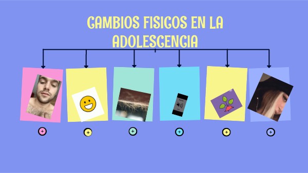 Branch List | Genially