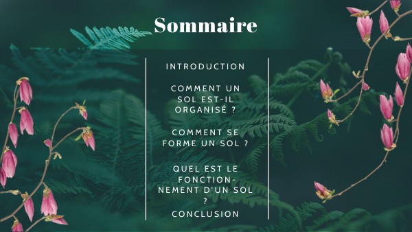 Exposé sur les sols SVT | Genially