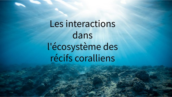 Les interactions dans l ecosysteme des recifs coralliens | Genially
