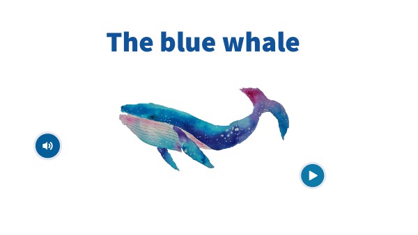 The blue whale