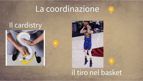 la coordinazione
