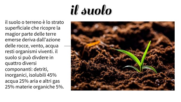 il suolo