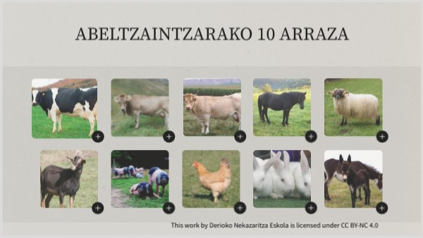 CHARACTER GUIDE | Genially