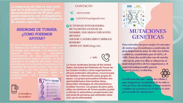 mutaciones geneticas