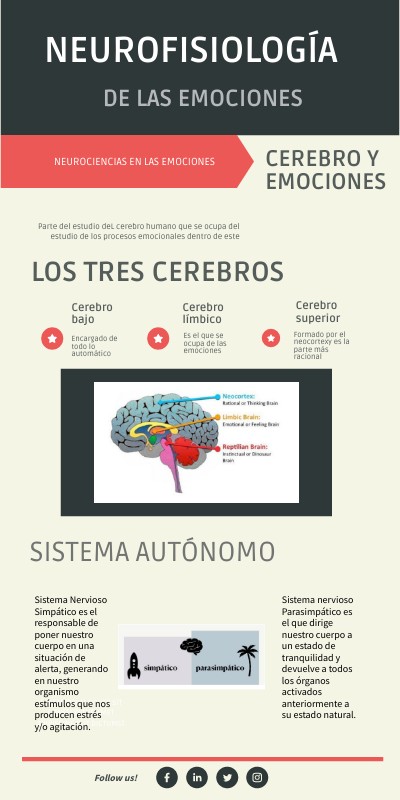 NEUROFISIOLOGIA Y MANEJO EMOCIONAL_MIGUEL RAMOS
