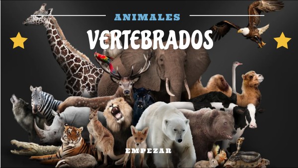 Presentación ll Animales vertebrados | Genially