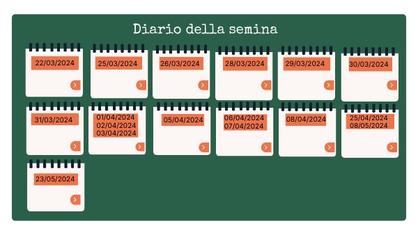 Annual calendar 2024 | Genially