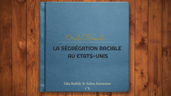 Ségrégations Raciale aux Etats Unis
