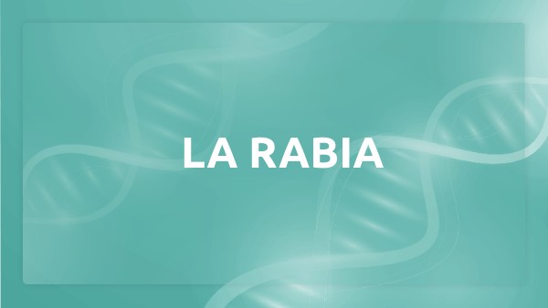 PRESENTACIÓN RABIA | Genially