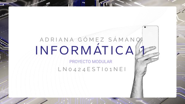 Informatica 1, Proyecto Modular