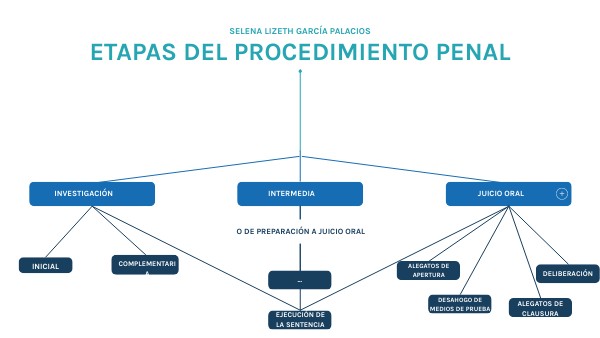 Etapas del procedimiento penal
