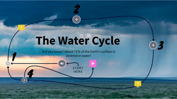 The Water Cycle