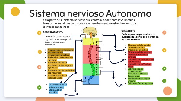 esquema del sistema autonomo | Genially