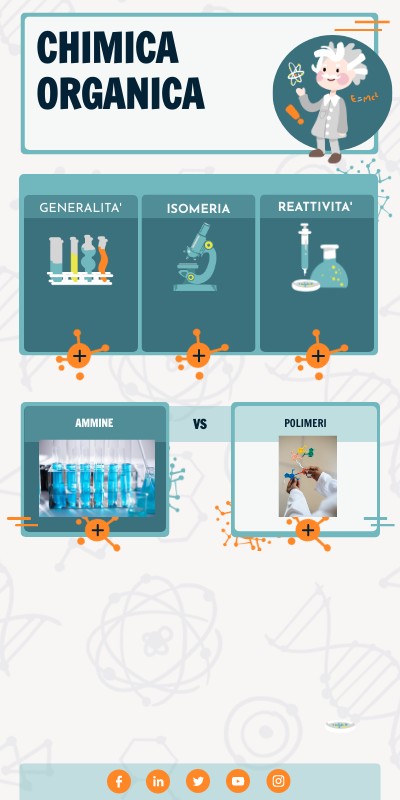 Infografica Einstein