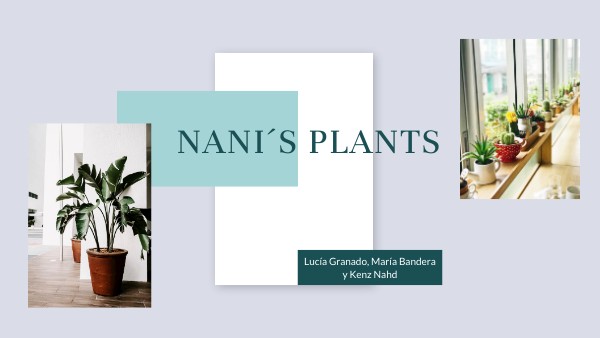 Nani´s plants