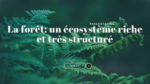 La forêt: un écosystème riche et très structuré | Genially